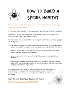 How to Build a Spider Habitat (printable) – Elle Simms